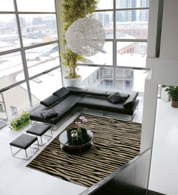 Big Selections of Upscale Modern European Furniture